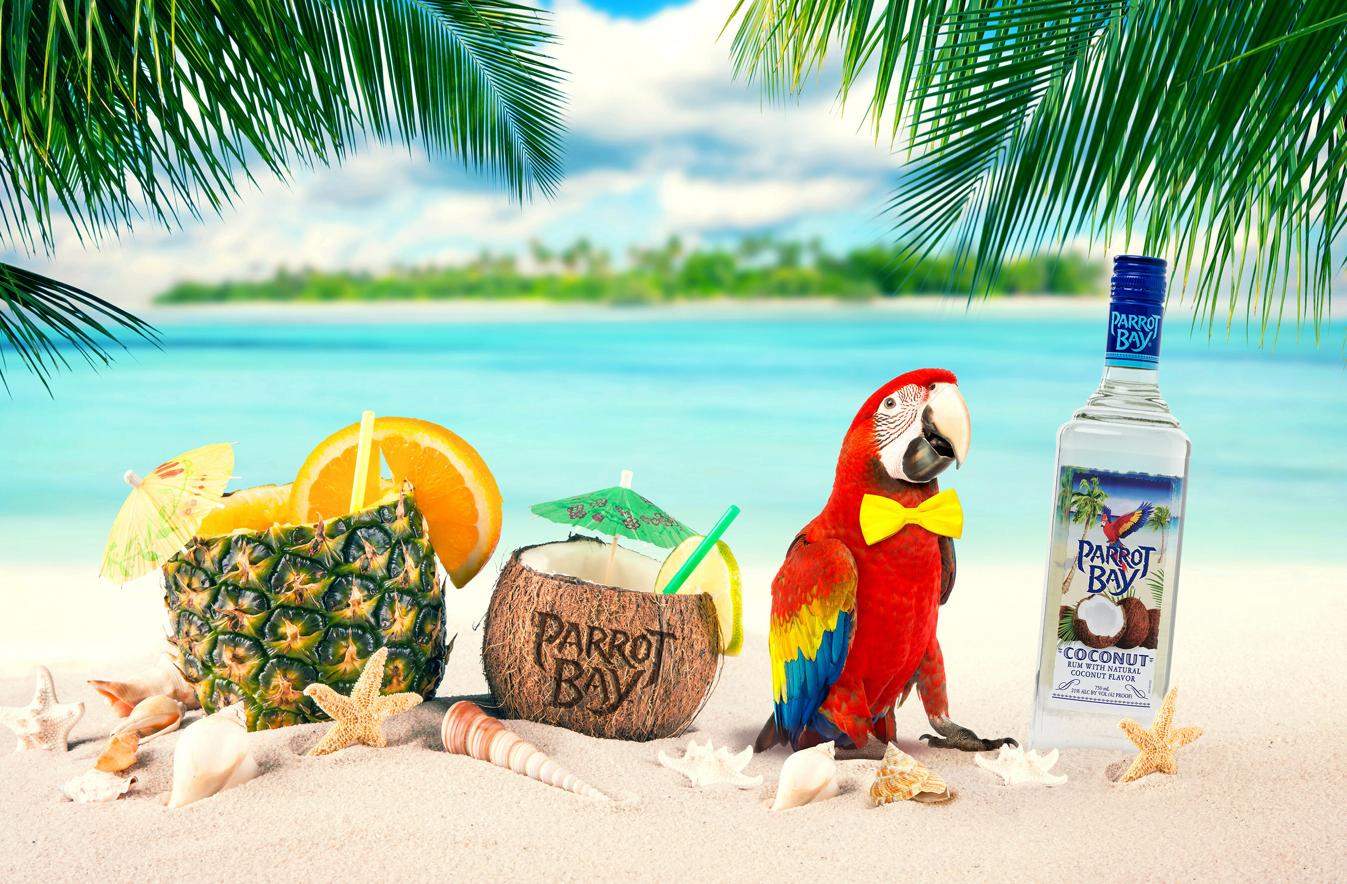 Take A Bae Cation With Parrot Bay Rum Beverage Industry Take A Bae Cation With Parrot Bay Rum Beverage Industry
